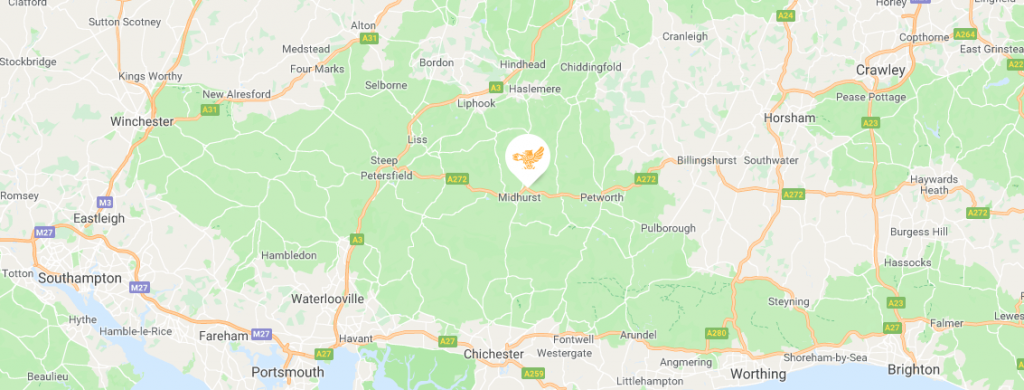 Body Scanning, Gestalt & Remote Viewing Workshop Weekend - Animal Thoughts