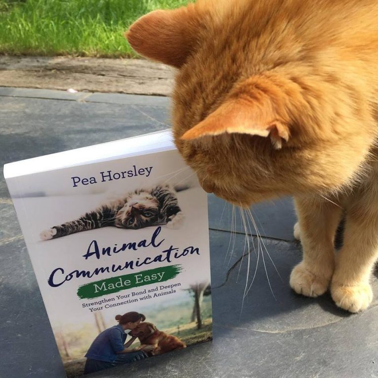 Animal Communication | Pea Horsley Animal Communicator