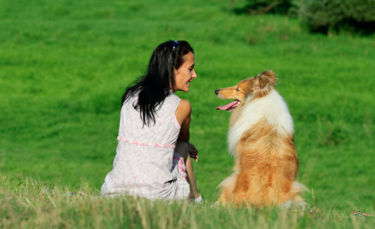 How To Stay Present To Better Communicate with Animals: 5 Tips - Animal ...