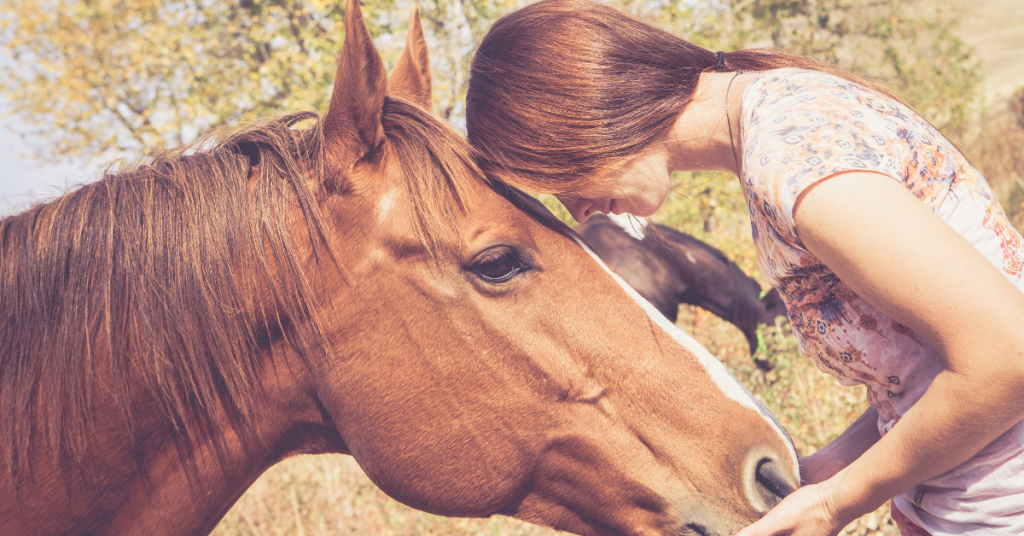 5 Daily Practices to Help You Become an Animal Communicator - Animal Thoughts