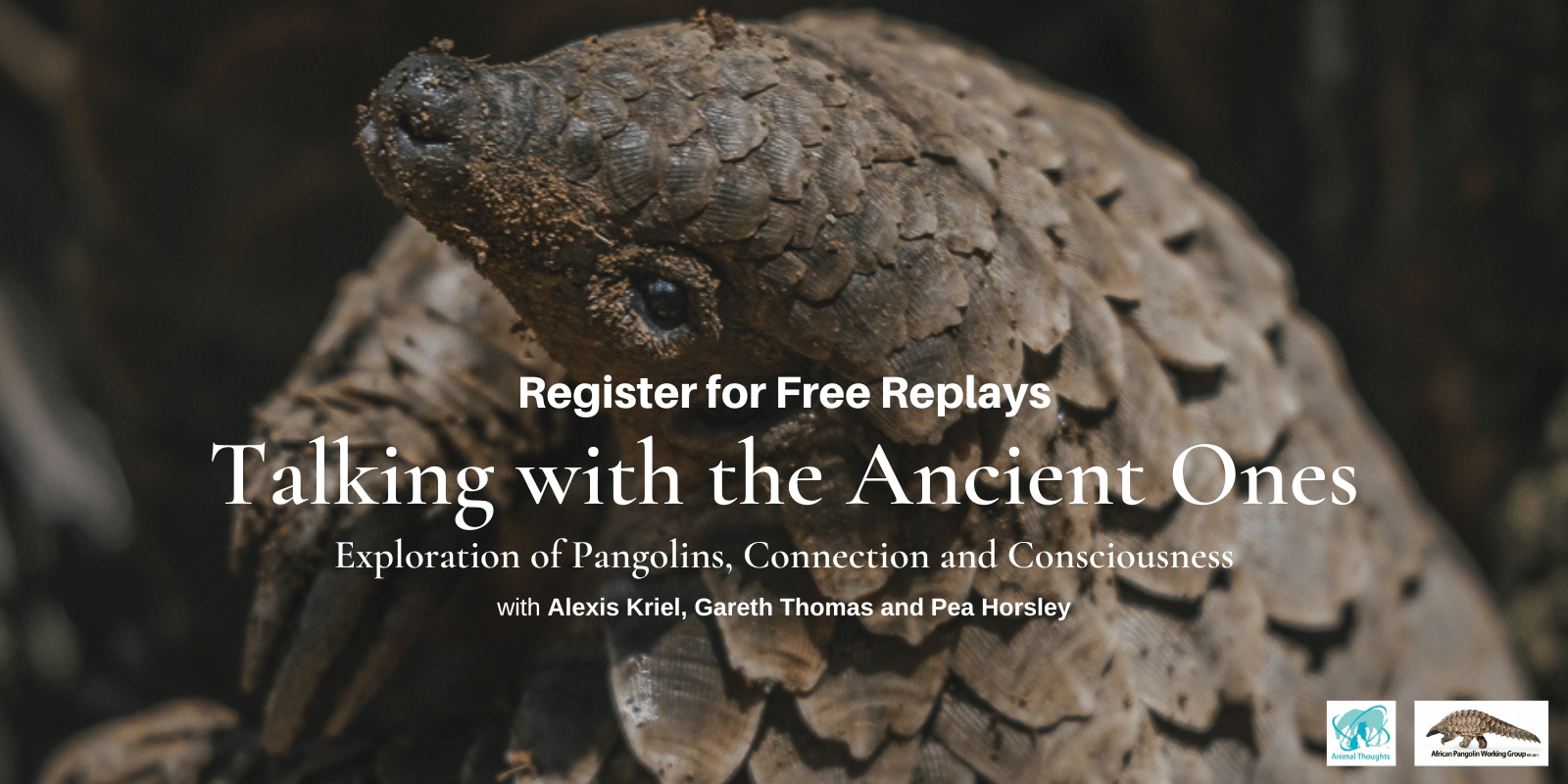 Register - Talking with the Ancient Ones - Animal Thoughts