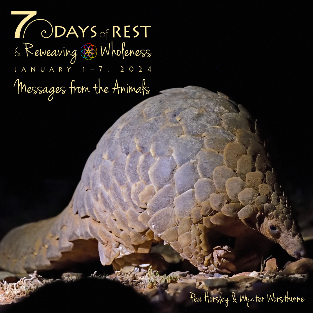 7 Days of Rest & Reweaving Wholeness - Messages from the Animals - 2024 ...