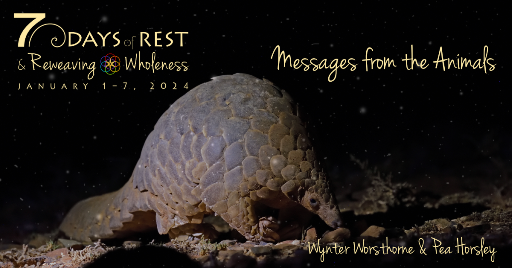 7 Days of Rest & Reweaving Wholeness - Messages from the Animals - 2024 ...
