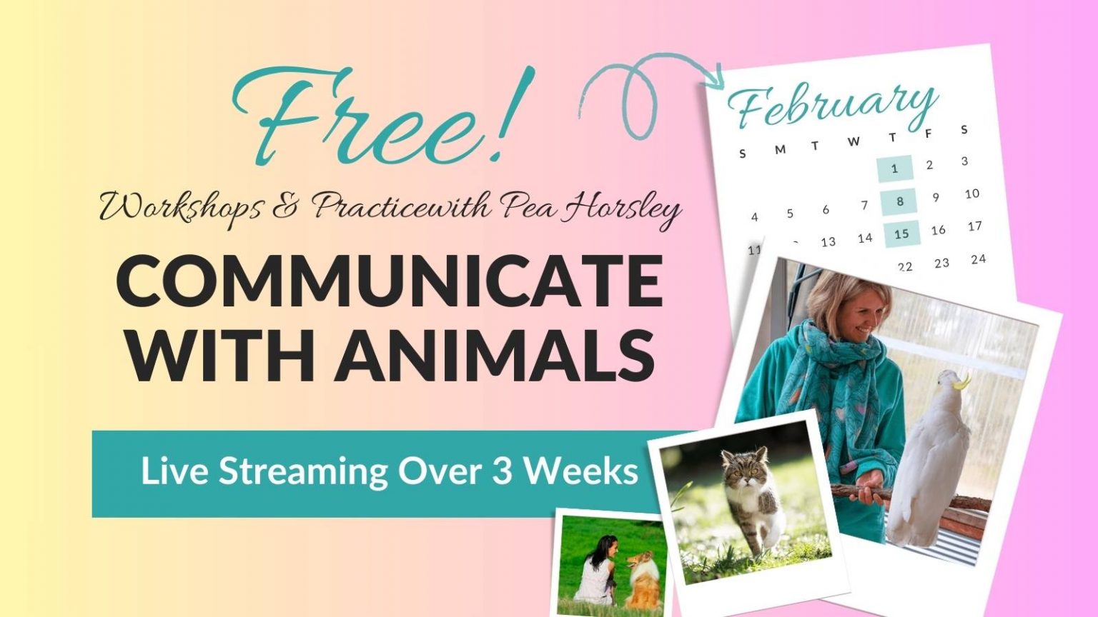 Learn How to Communicate with Animals - Animal Thoughts