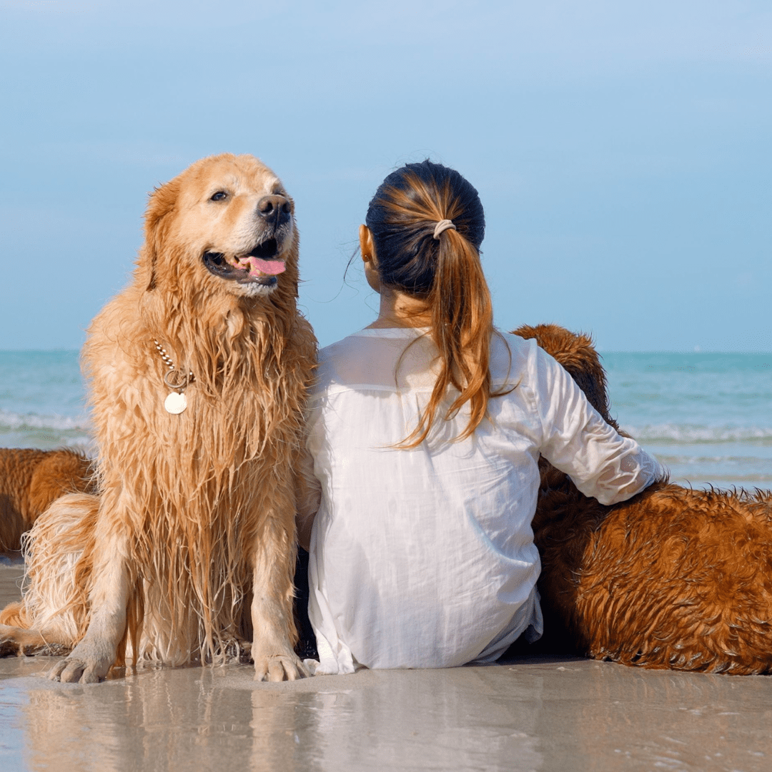 11 Animal Quotes That Will Inspire You - Animal Thoughts