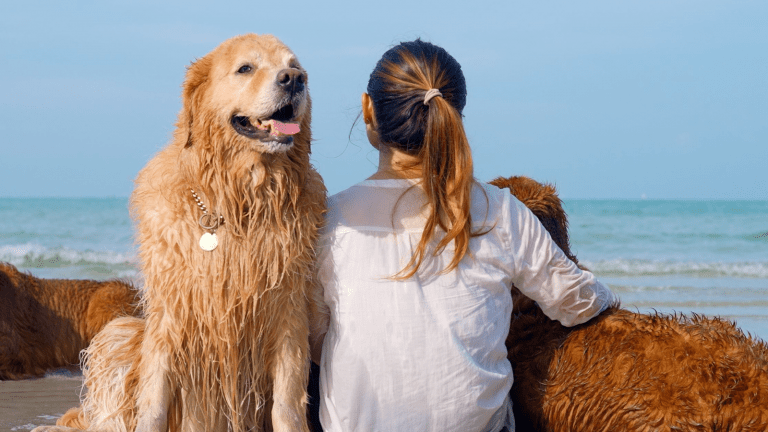 11 Animal Quotes That Will Inspire You - Animal Thoughts