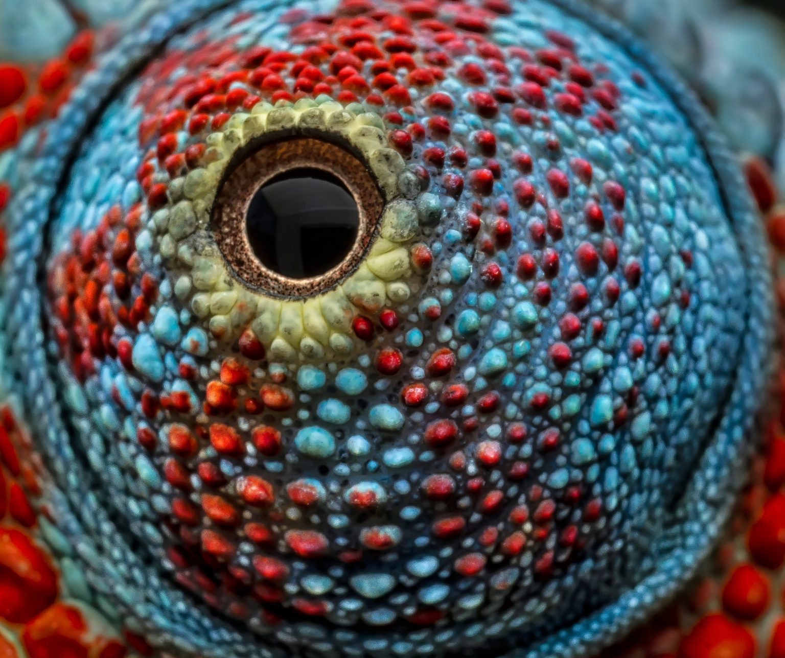 Your Ultimate Guide To Sacred Geometry Symbols - Animal Thoughts