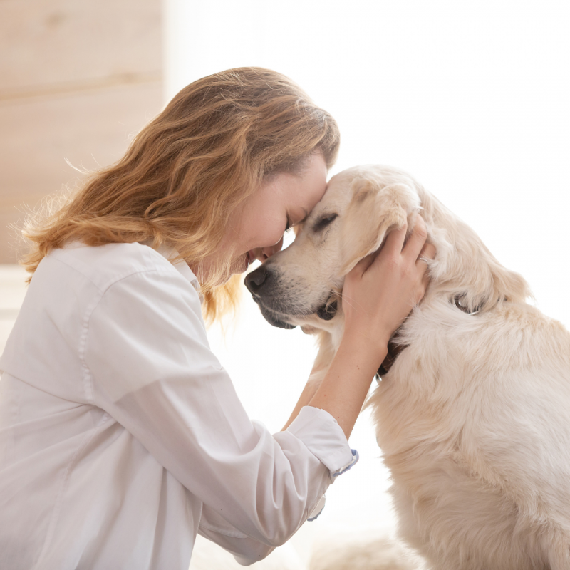 Animal Communication | Pea Horsley Animal Communicator